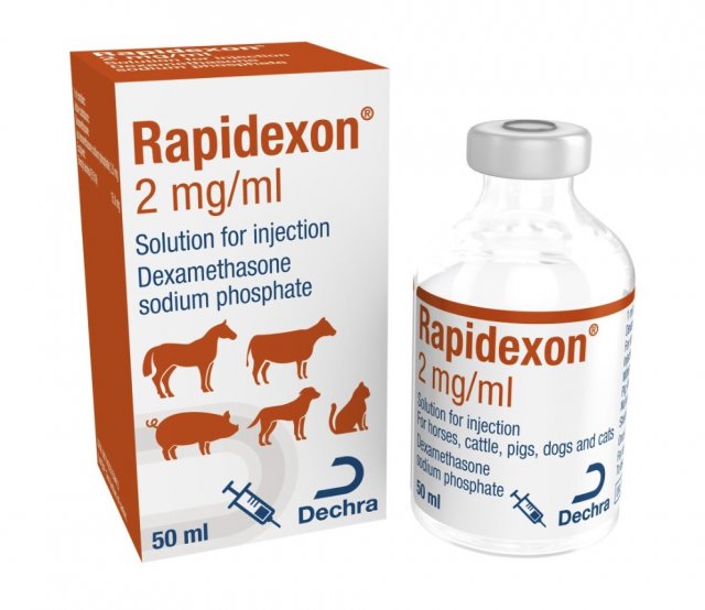 Rapidexon® 2 mg/ml Solution for Injection – VetMedi.co.uk