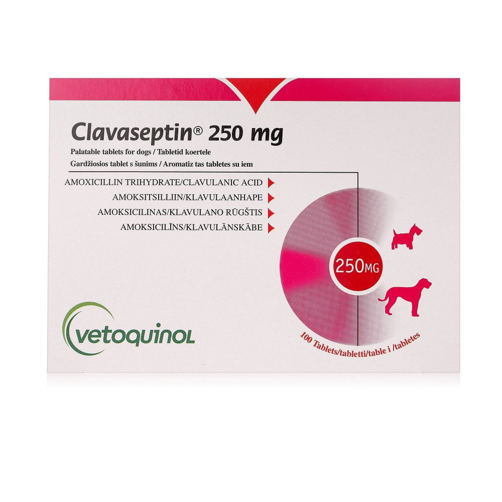 Clavaseptin 250mg Palatable Tablets
