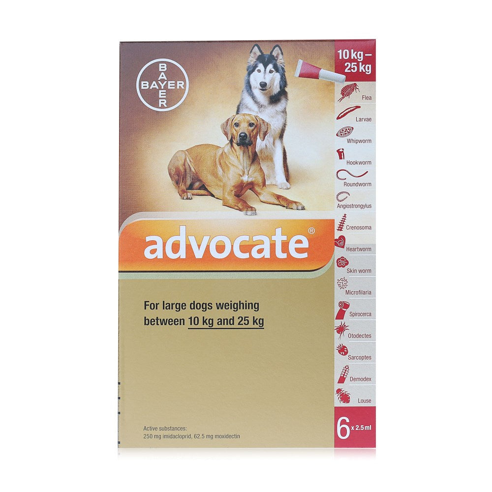 Advocate for Dogs 250 Spot On - Large Dogs 10-25kg – VetMedi.co.uk
