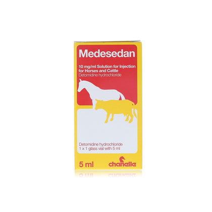 Medesedan 10mg/ml Solution for Injection (Chanelle) – VetMedi.co.uk