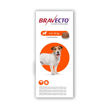 Bravecto Chewable Tablet for Dogs | Dog Flea Tablet | VetMedi – VetMedi ...
