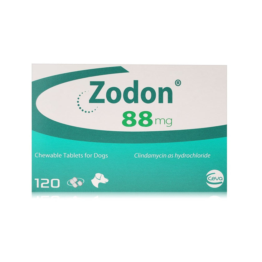 Zodon® Chewable Tablets for Dogs 88mg – VetMedi.co.uk