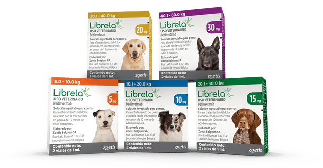 Librela® Solution for Injection for Dogs – VetMedi.co.uk