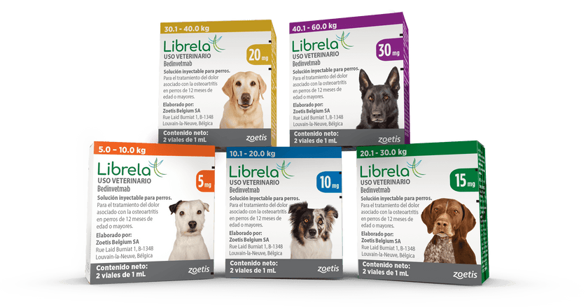 Librela® Solution for Injection for Dogs – VetMedi.co.uk