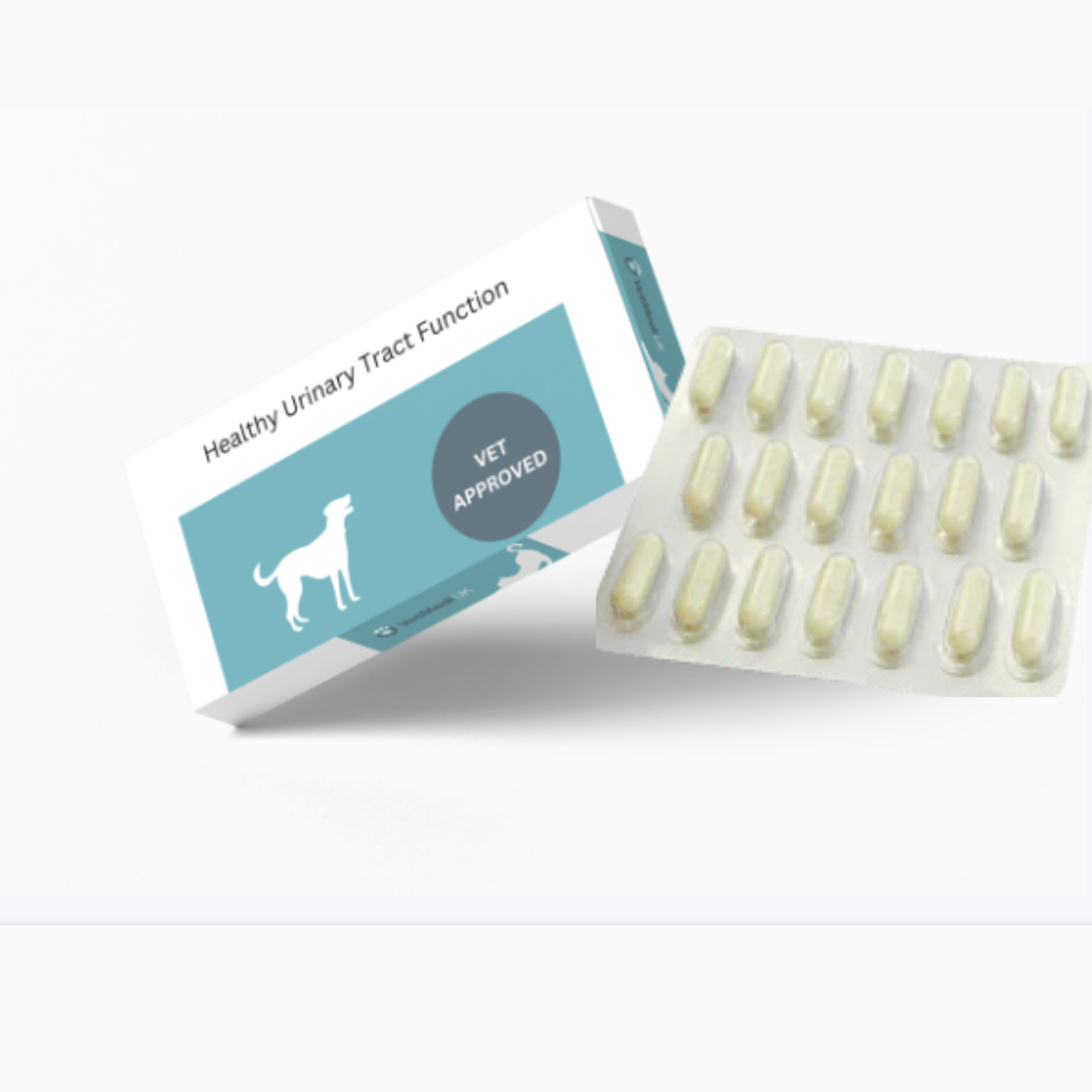 Healthy Urinary Tract Function for Cats and Dogs – VetMedi.co.uk