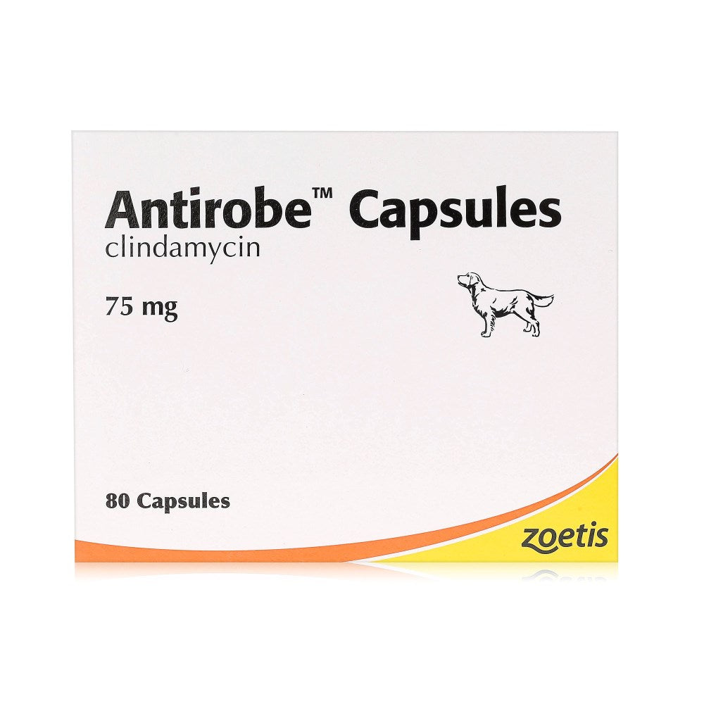 Antirobe Capsules (per tablet) – VetMedi.co.uk