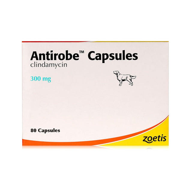 Antirobe Capsules (per tablet) – VetMedi.co.uk