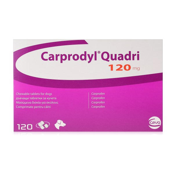 Carprodyl Quadri 120mg tablets – VetMedi.co.uk