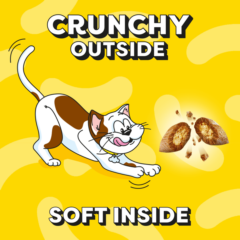 Dreamies Cat Treat Biscuits with Beef 60g – VetMedi.co.uk