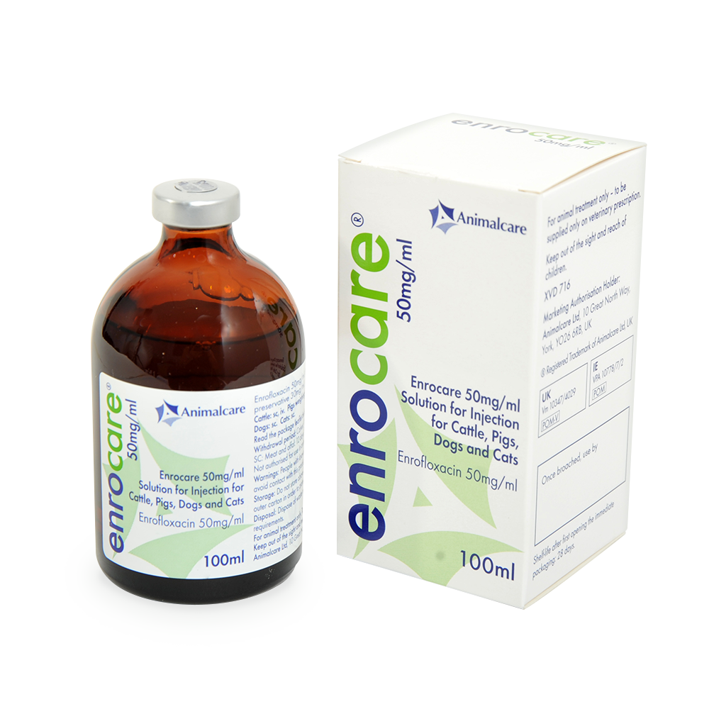 Enrocare Injectable – VetMedi.co.uk