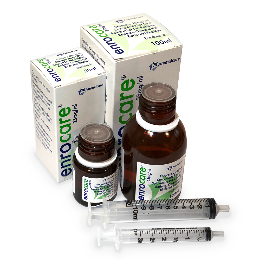 Enrocare 25mg/ml Concentrate for Oral Solution – VetMedi.co.uk