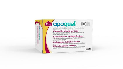 Apoquel Chewable 16mg Tablets For Dogs – VetMedi.co.uk