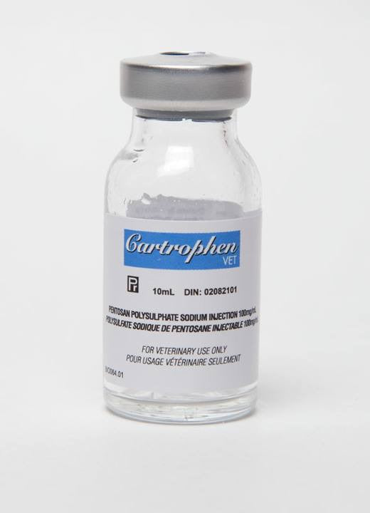 Cartrophen Injection 10ml – VetMedi.co.uk